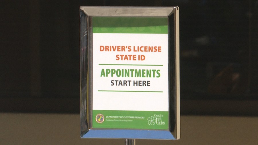 Only half of driver’s license road test takers pass – Maximum Hawaii