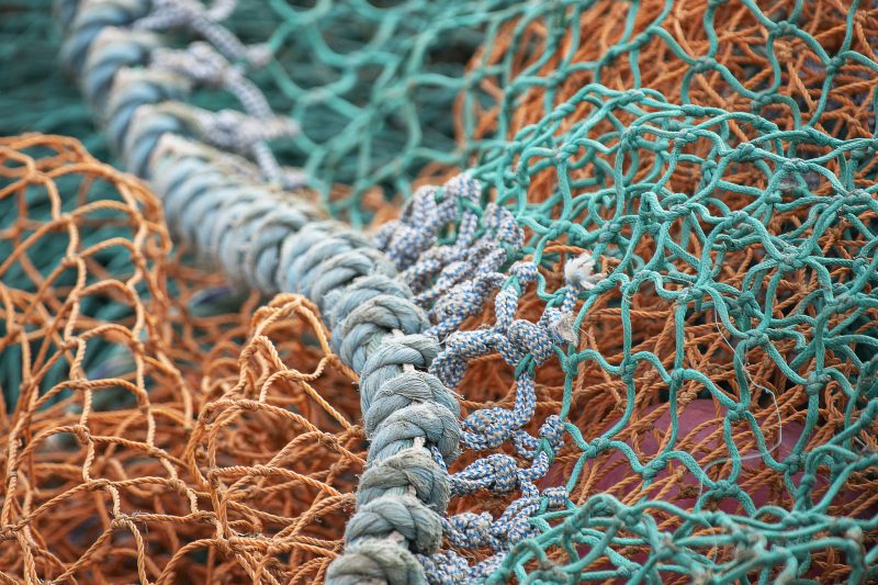 Trump opens Pacific marine sanctuary to commercial fishing – Maximum Hawaii